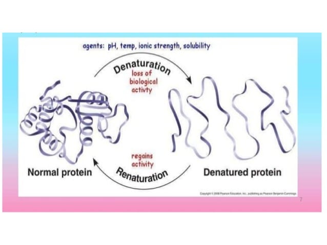 Lecture 1.ppt protien structure in laboratory department | PPT