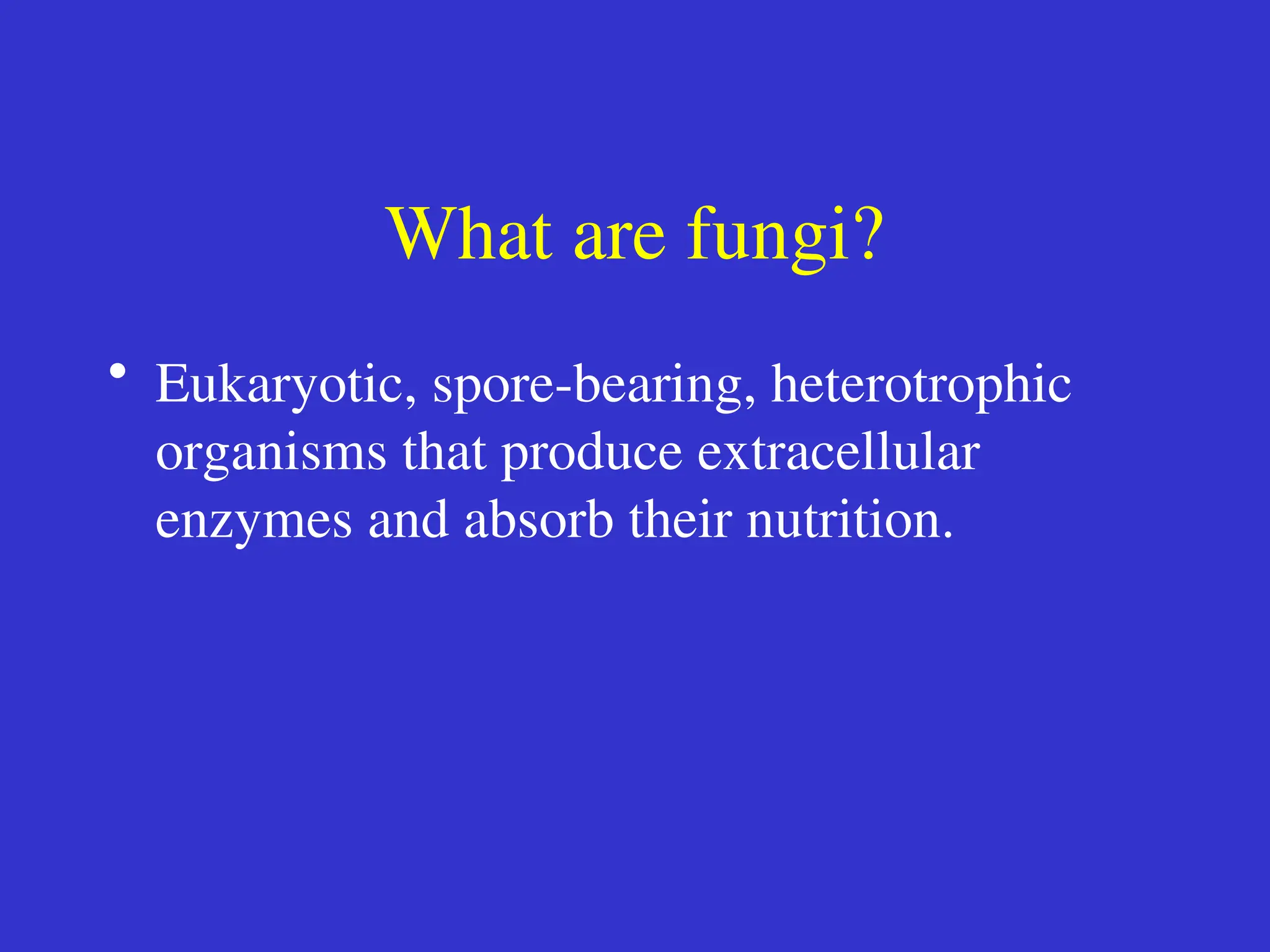 Basic fungal biology presentation lecture.ppt