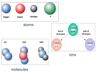 Lecture 1. BASIC CONCEPTS OF CHEMISTRY.ppt | Chemistry | Science
