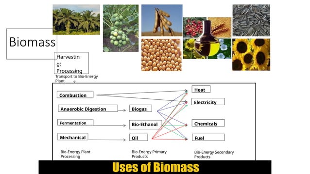 An intorduction to biomass and its environmental benefits | PPTX