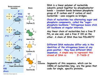 Nucleic Acids and Nucleotides: Structure, Function, and Significance..pptx