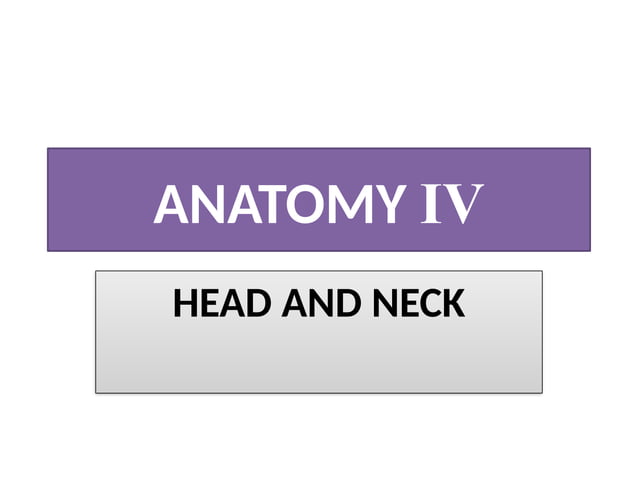 The anatomy of the head and neck region ppt | PPT