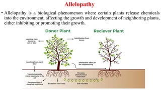 Lecture 1. Concept of agroforestry Importance and Scope.pptx