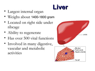 lecture 1. Summary metabolism.Biochemistry of liver.ppt