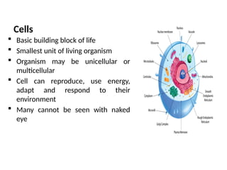cell structure & function and its organelles | PPT