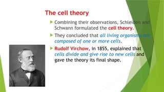 Concept of biology, cell and cell theory, prokaryotes and Eukaryotes | PPT