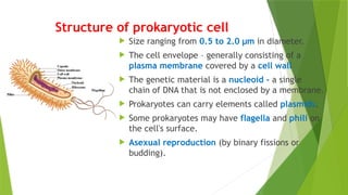 Concept of biology, cell and cell theory, prokaryotes and Eukaryotes | PPT