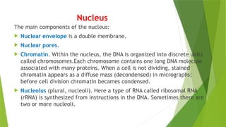 Concept of biology, cell and cell theory, prokaryotes and Eukaryotes | PPT