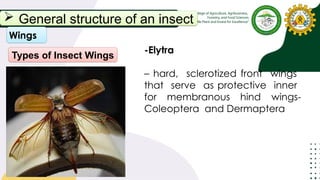 Principles of Entomology Lecture 1.pptx