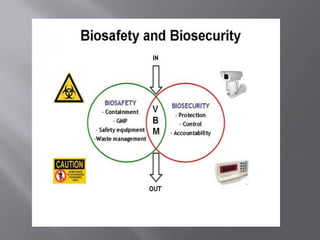 Introduction to biosafety and Risk management | PPTX