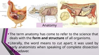 Lecture 1. Anatomy and Physiology of farm animals.pptx