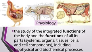 Lecture 1. Anatomy and Physiology of farm animals.pptx