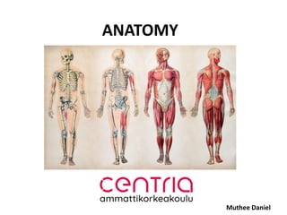 Basic Anatomy of the human body concepts.pdf