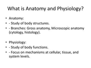Basic Anatomy of the human body concepts.pdf