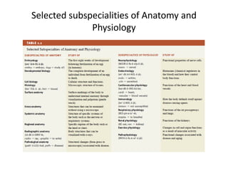 Basic Anatomy of the human body concepts.pdf