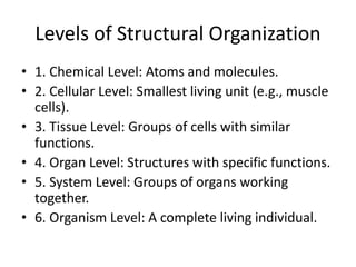 Basic Anatomy of the human body concepts.pdf