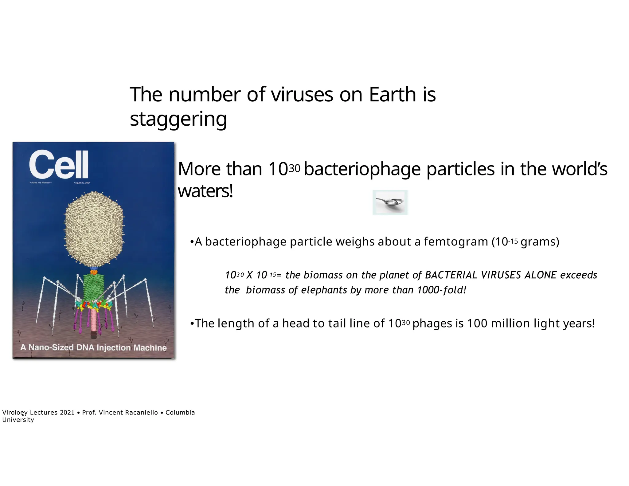 What is a virus? Lecture by Prof. Vincent Racaniello • Columbia ...