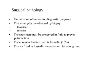 LECTURE 1. INTRODUCTION TO PATHOLOGY.pptx.pdf