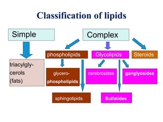 Lecture_1-2_Lipids.pptxrhshsehtsrhrtshrhrh | PPTX