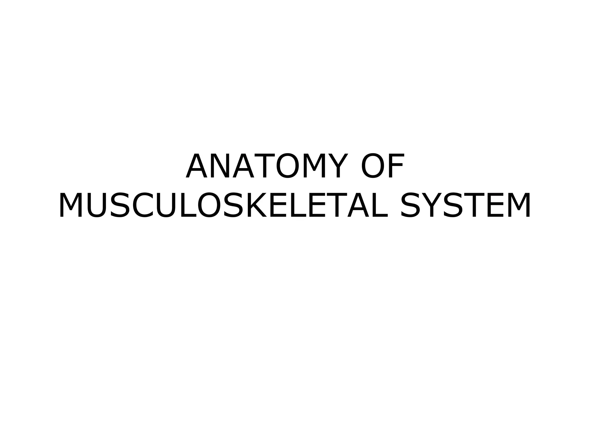 LECTURE1 -Anatomy_of_Musculoskeletal_System.ppt