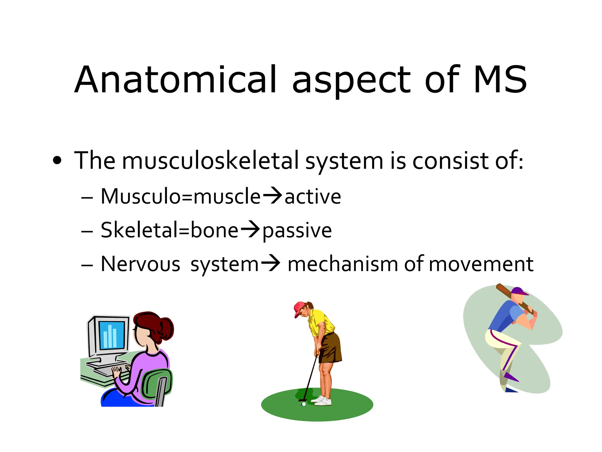 LECTURE1 -Anatomy_of_Musculoskeletal_System.ppt
