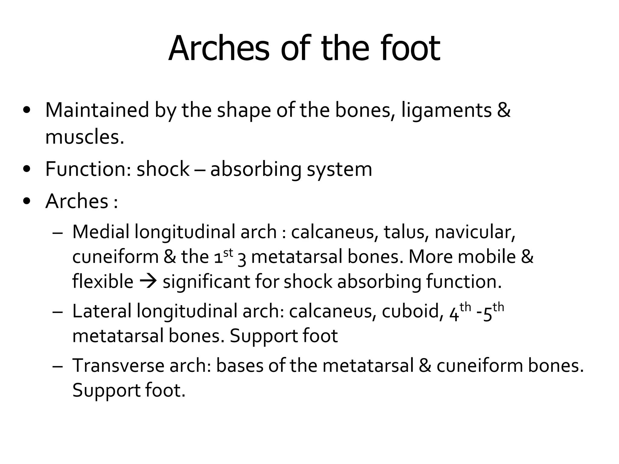LECTURE1 -Anatomy_of_Musculoskeletal_System.ppt