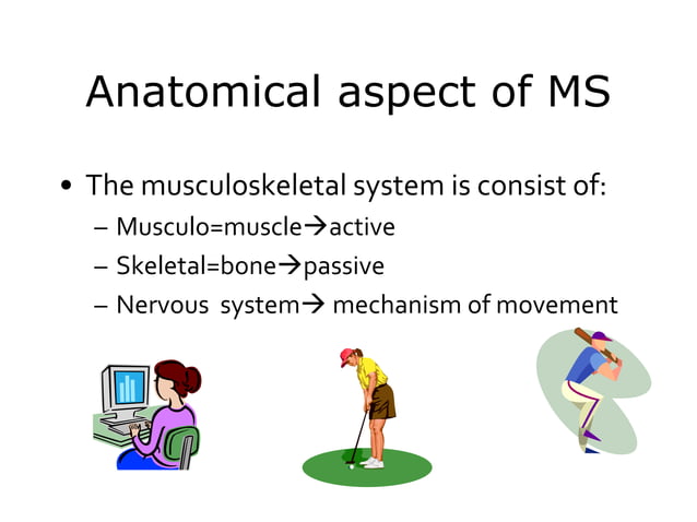 LECTURE1 -Anatomy_of_Musculoskeletal_System.ppt