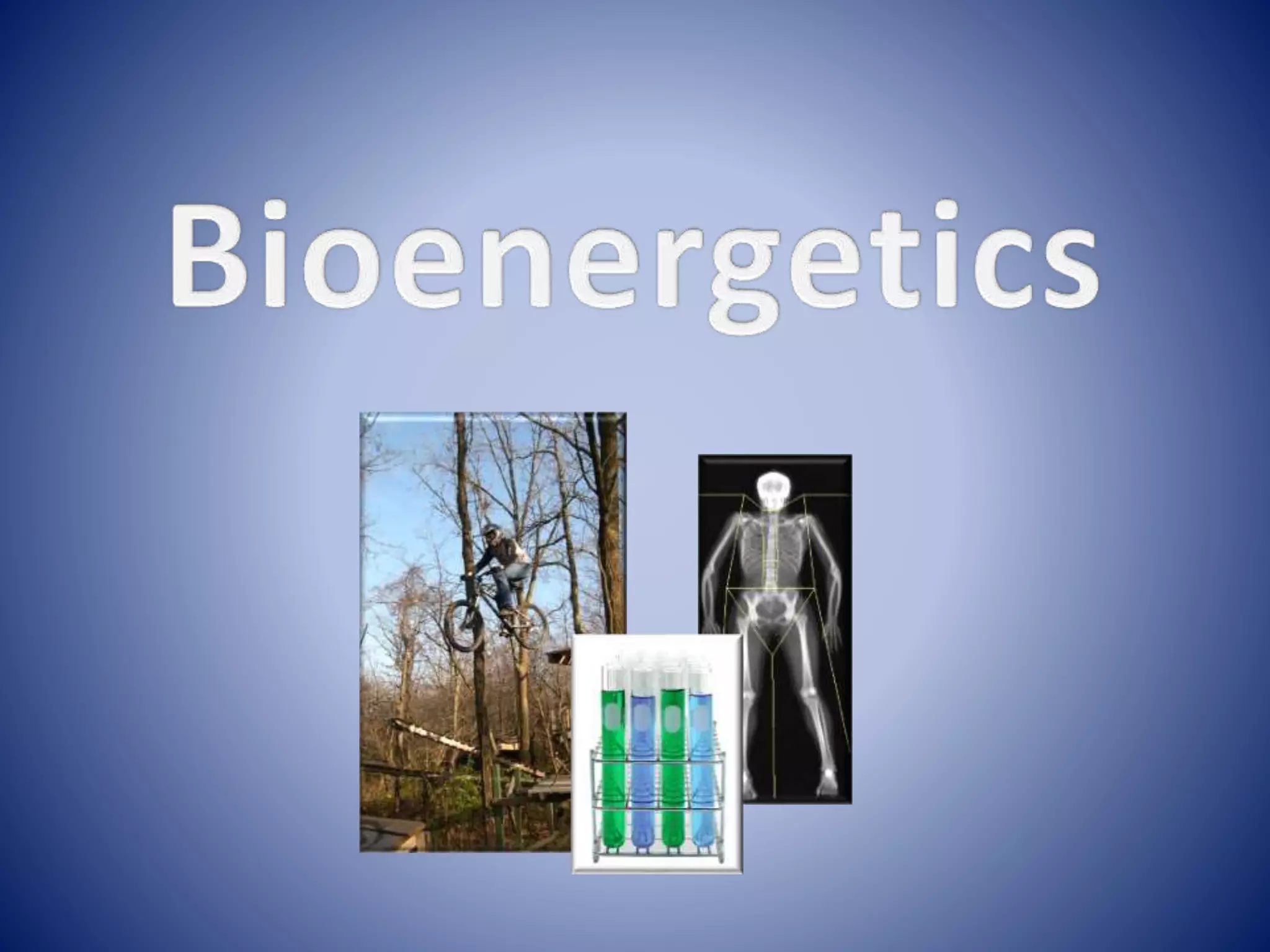 Lecture 1 bioenergetics | PPTX