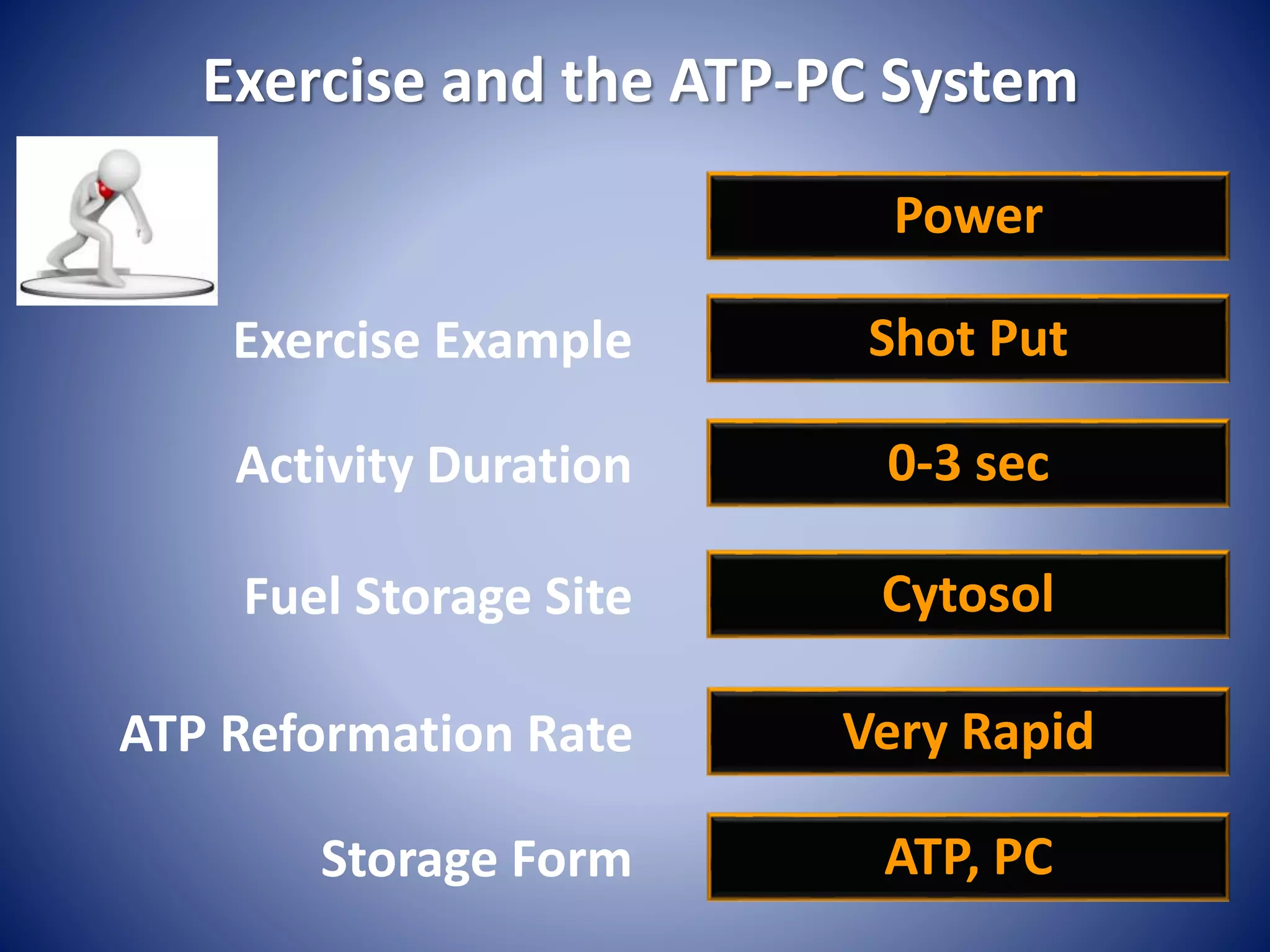 Lecture 1 bioenergetics | PPTX