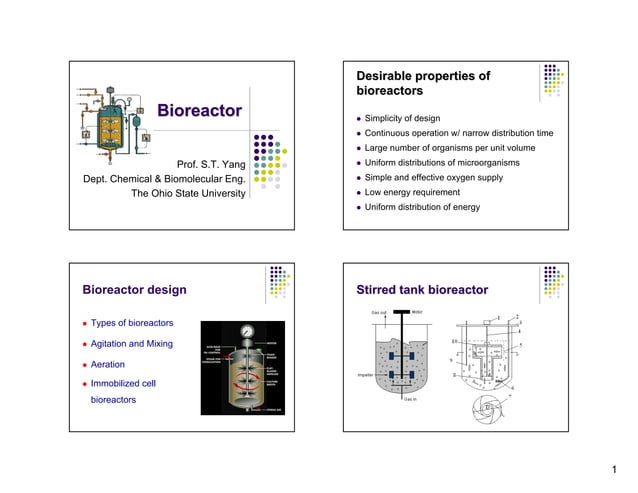 Lecture 1 bioreactor | PPT