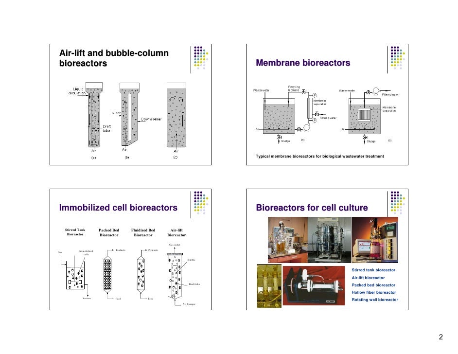 Lecture 1 bioreactor