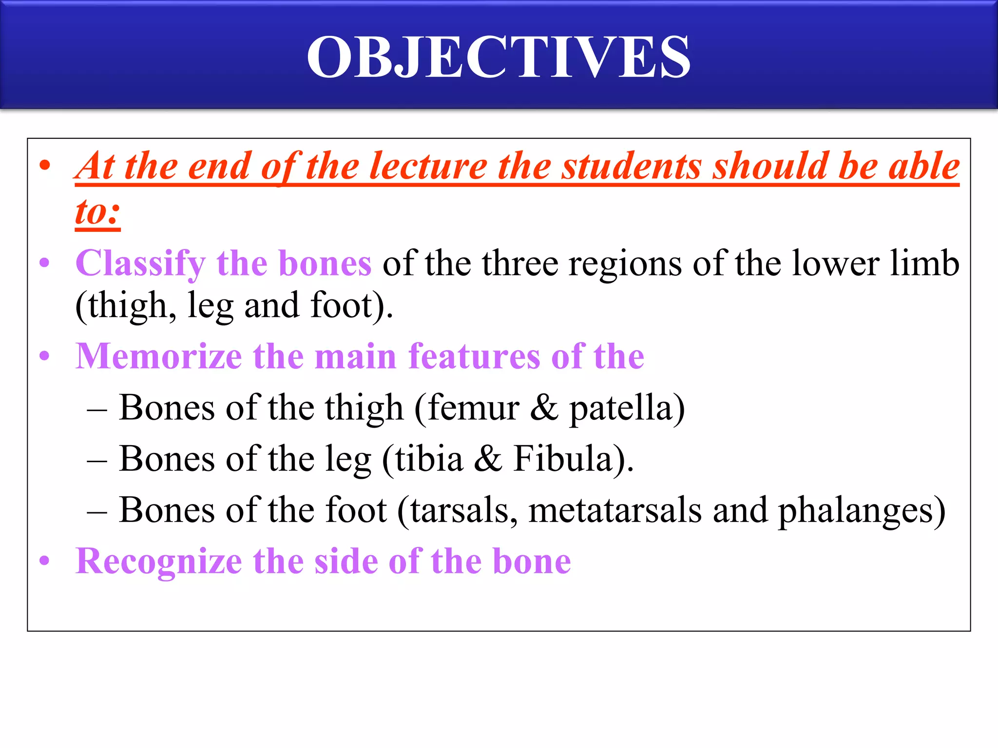 Lecture 1 -Bones of Lower Limb (2).pptx
