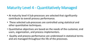 Capability Maturity Model Integartion | PPTX | Business | Business and ...