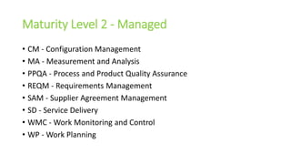 Capability Maturity Model Integartion | PPTX | Business | Business and ...