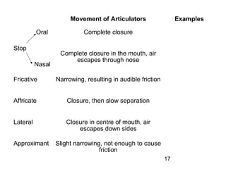 Lecture 1 Consonants | PPT