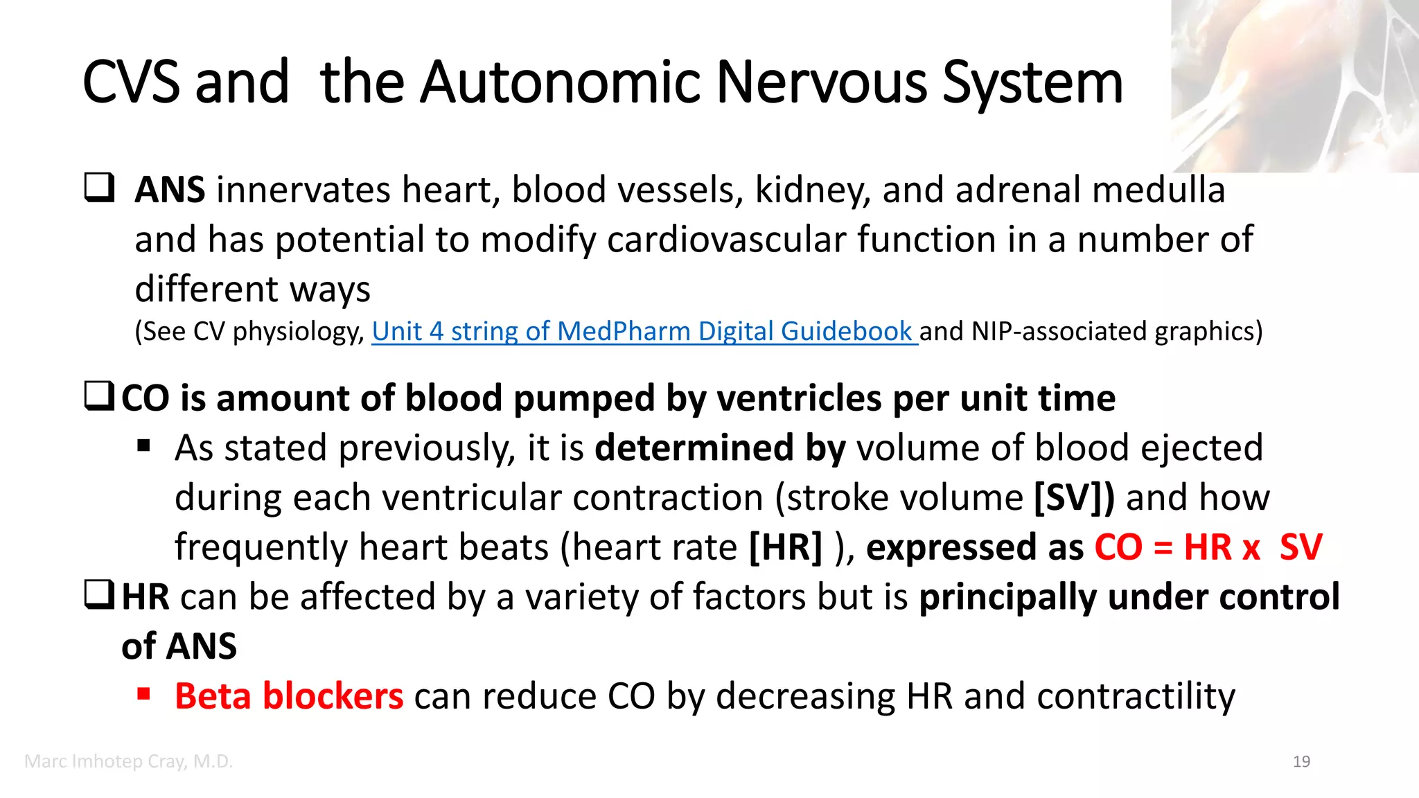 CVS Function, Regulation of the Heart and Overview of Therapeutic Goals ...