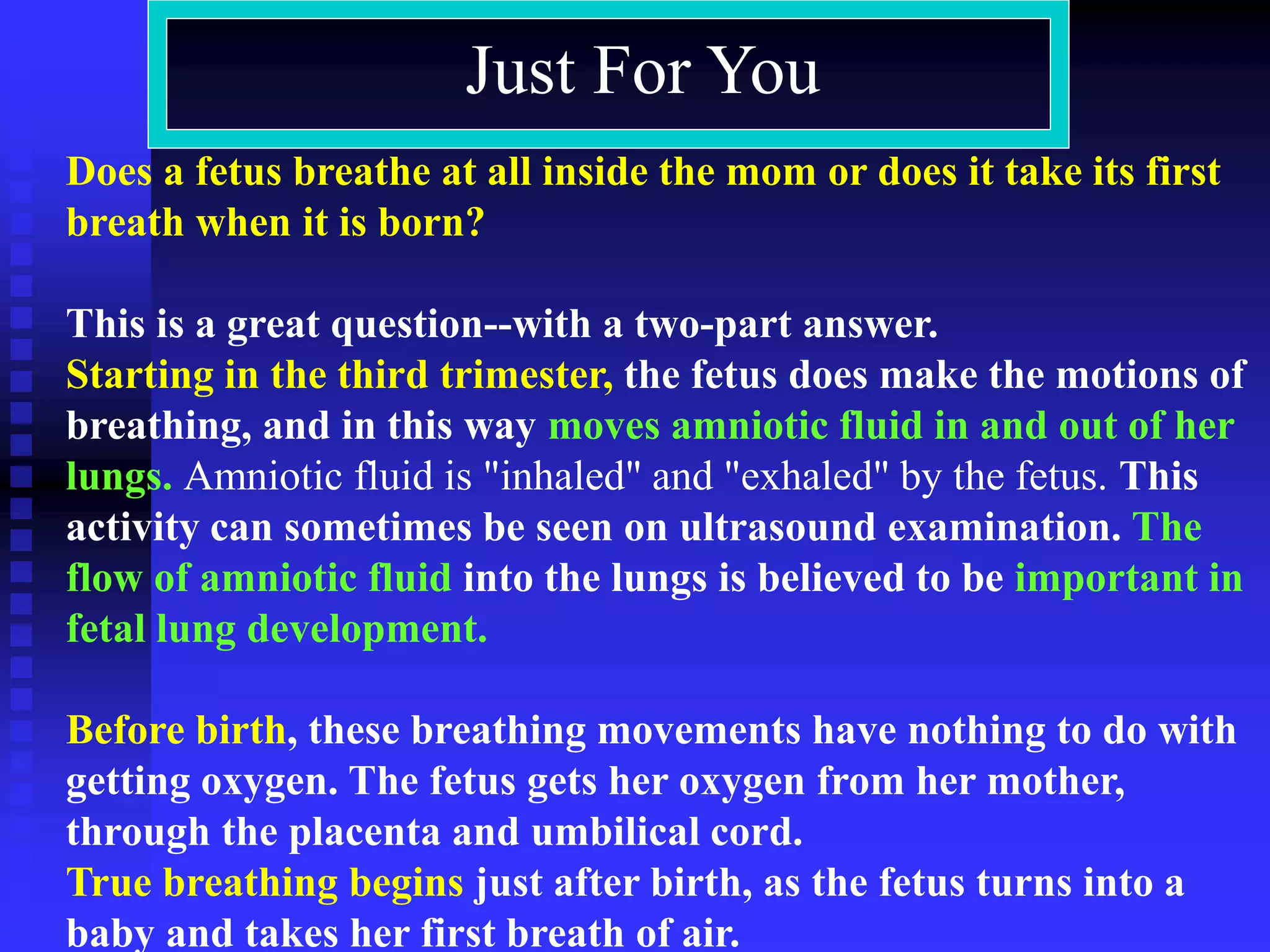 Lecture 1- Development of Respiratory System.ppt