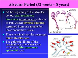 Lecture 1- Development of Respiratory System.ppt