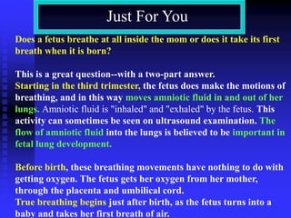 Lecture 1- Development of Respiratory System.ppt