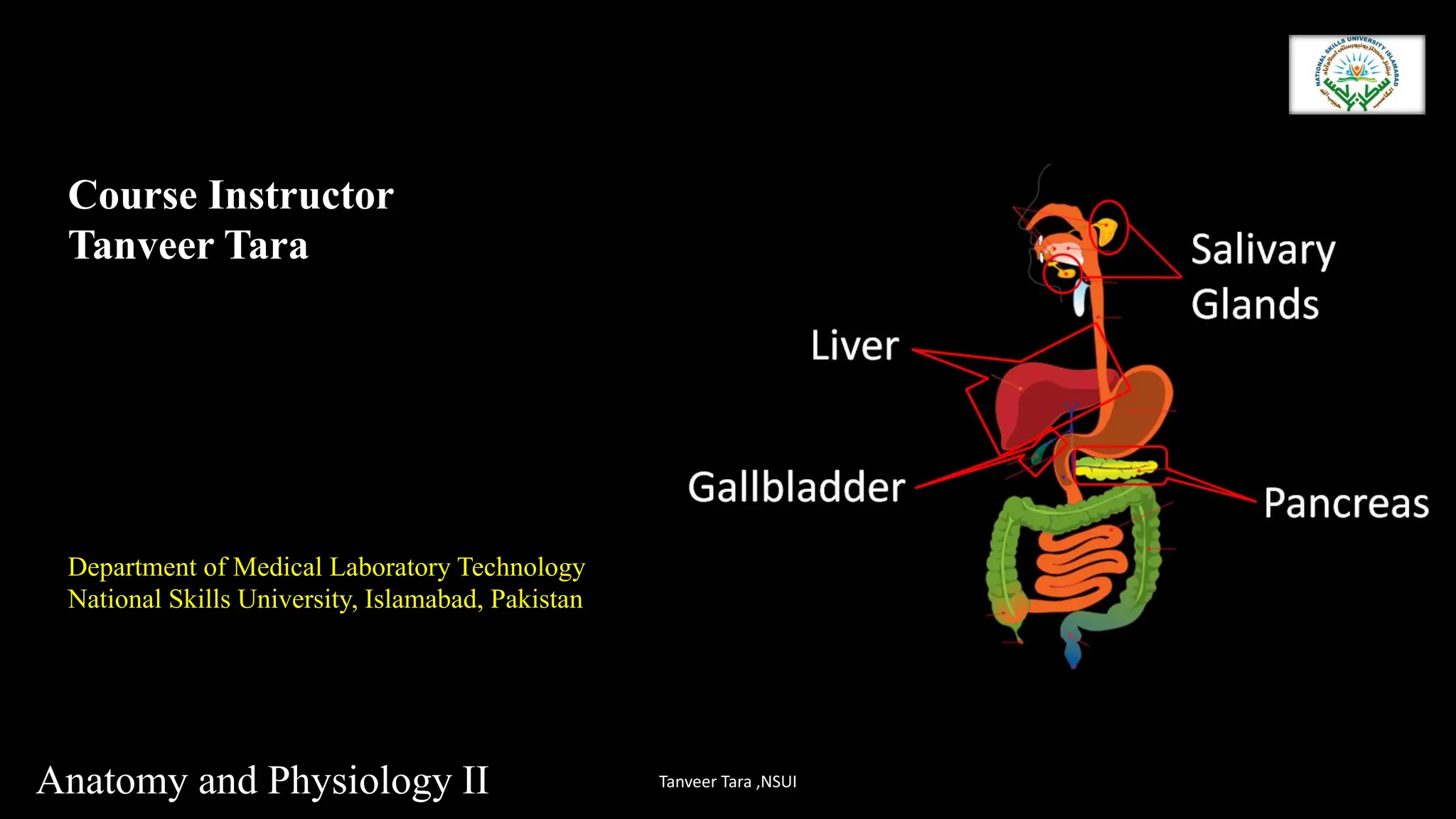 Lecture 1-Digestive System.pdf ppt presentation | PPT
