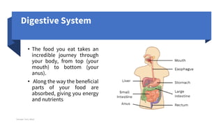 Lecture 1-Digestive System.pdf ppt presentation | PDF