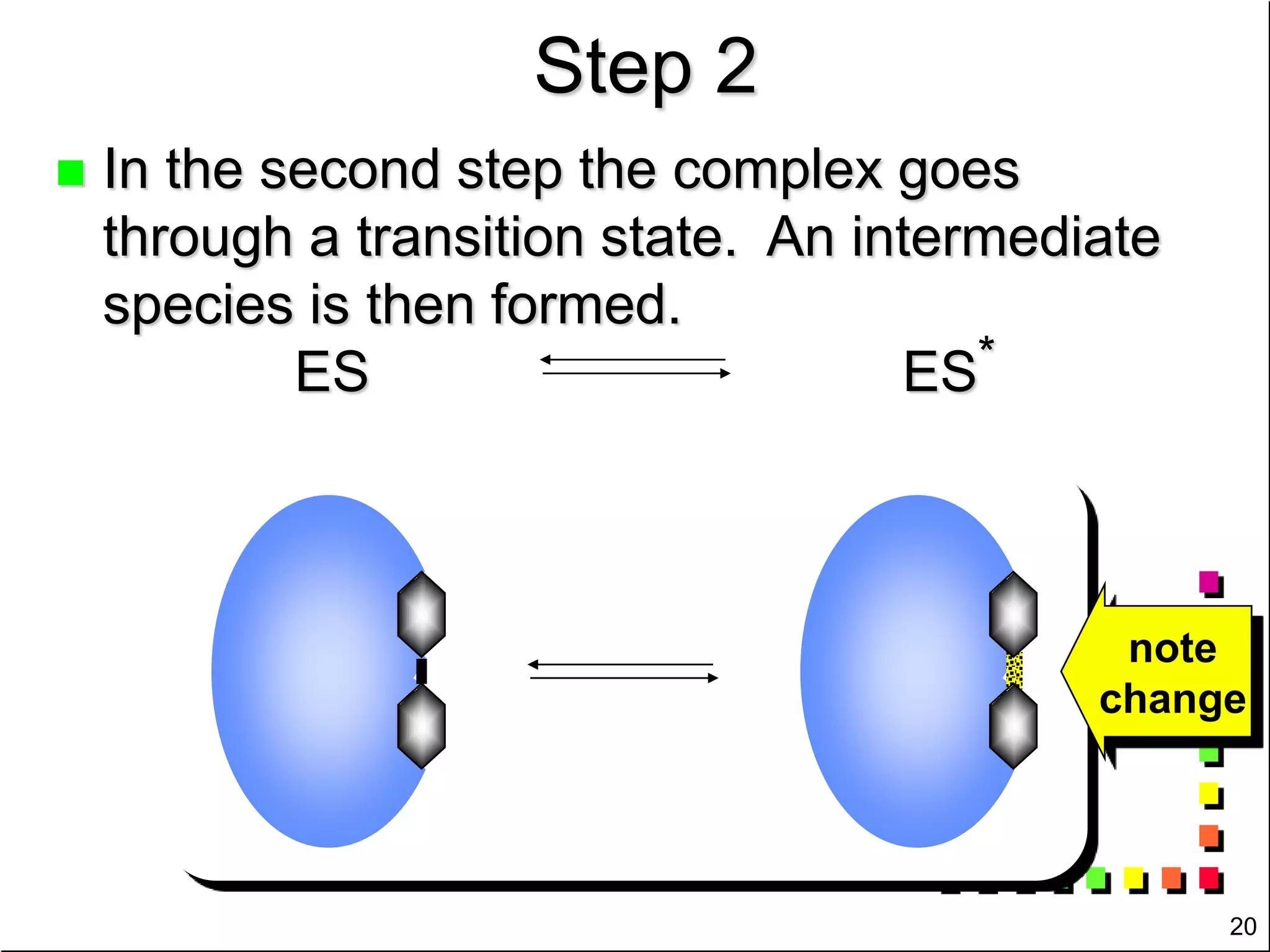 Lecture 1 - Enzymes-Intro. Kinetics.PPT