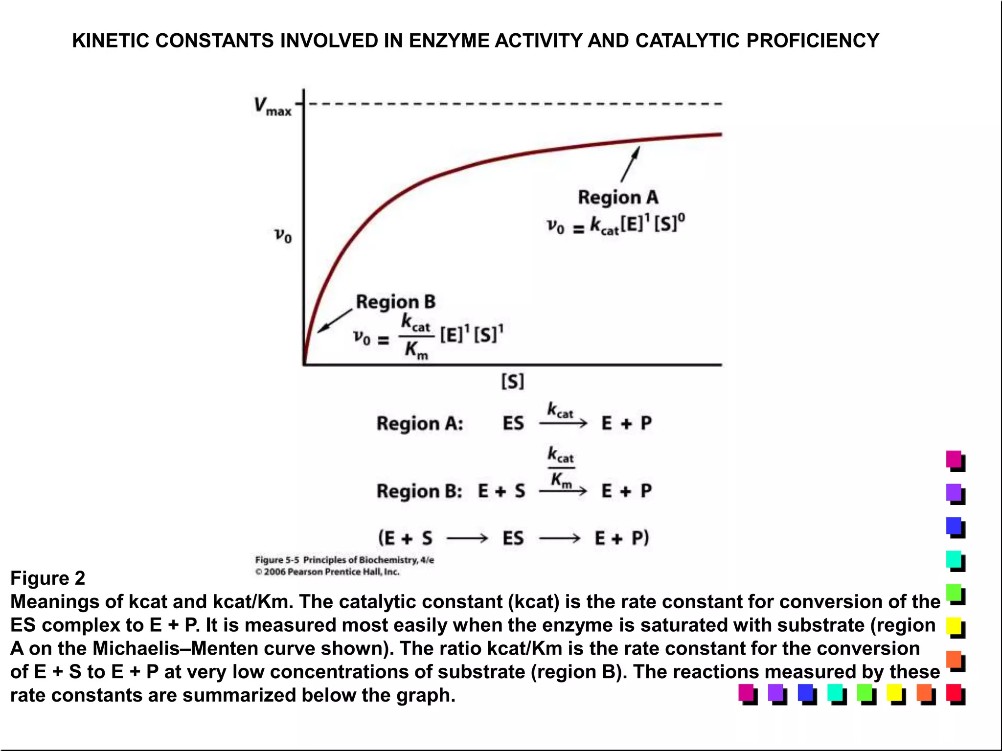 Lecture 1 - Enzymes-Intro. Kinetics.PPT