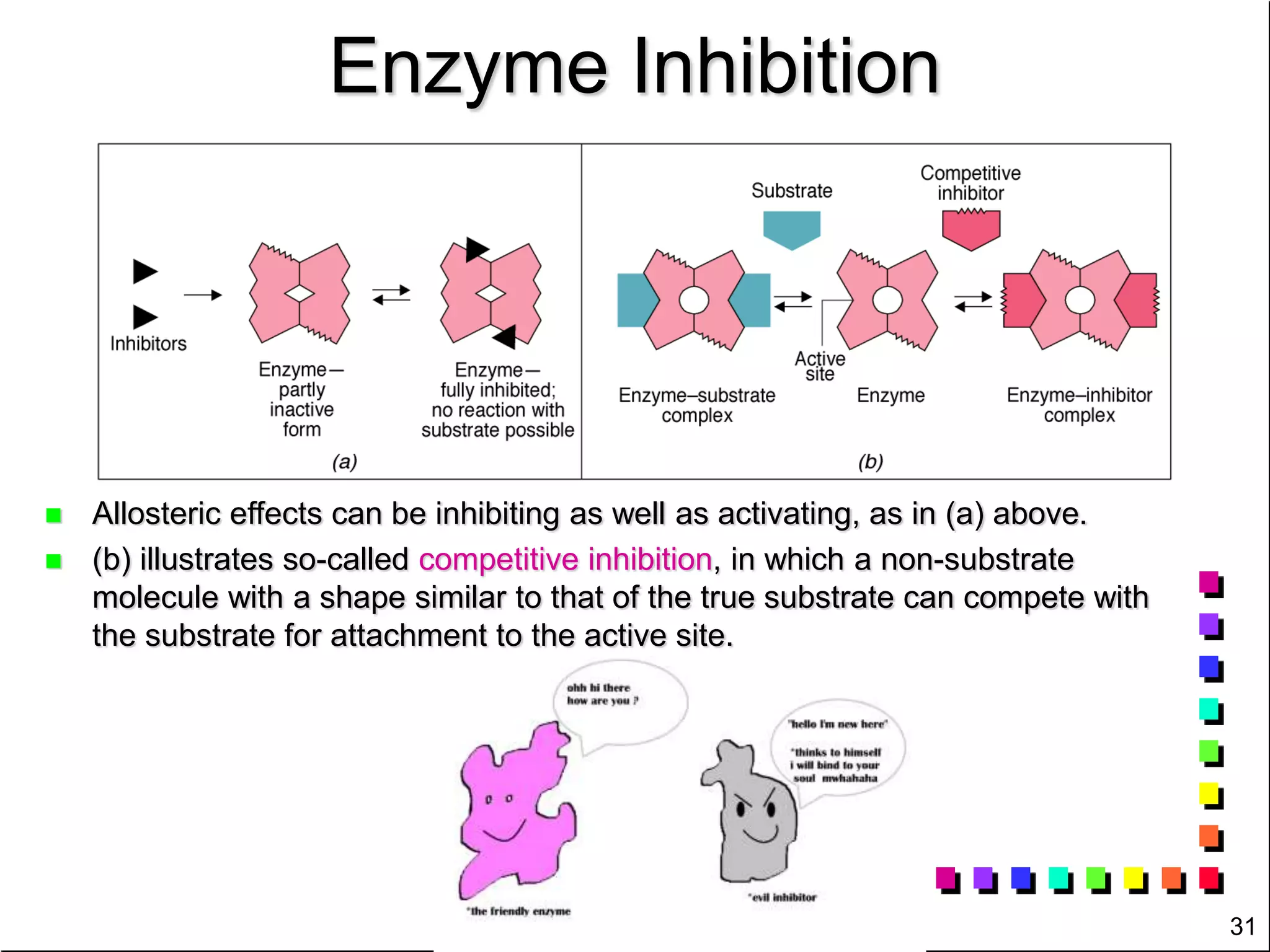 Lecture 1 - Enzymes-Intro. Kinetics.PPT