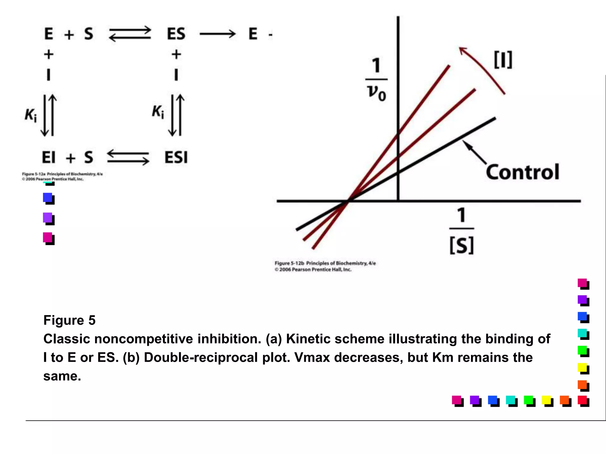 Lecture 1 - Enzymes-Intro. Kinetics.PPT