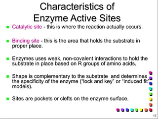 Lecture 1 - Enzymes-Intro. Kinetics.PPT