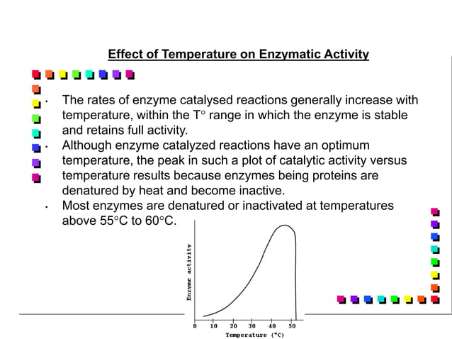 Lecture 1 - Enzymes-Intro. Kinetics.PPT