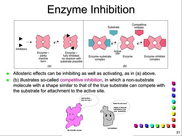 Lecture 1 - Enzymes-Intro. Kinetics.PPT