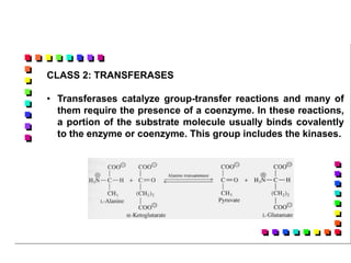 Lecture 1 - Enzymes-Intro. Kinetics.PPT