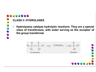Lecture 1 - Enzymes-Intro. Kinetics.PPT